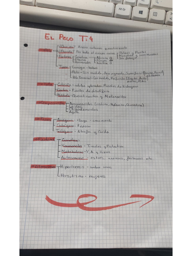 T4 | PDF