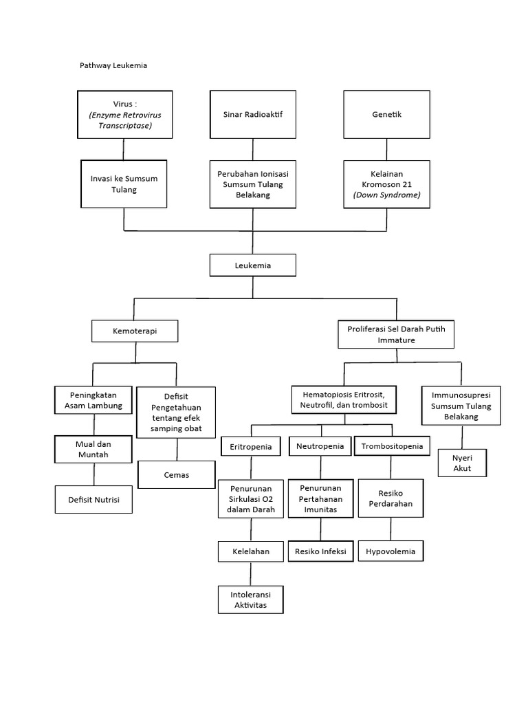 PATHWAY ANEMIA | PDF