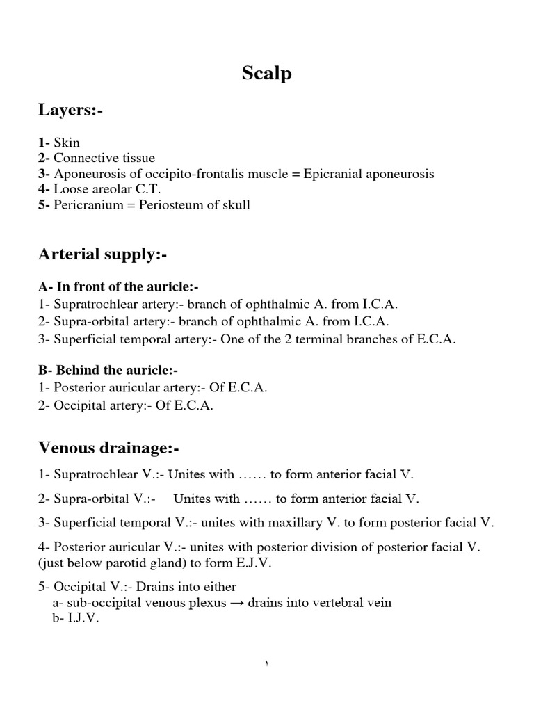 Head & Neck Anesthesia Anatomy | PDF | Human Nose | Common Carotid Artery