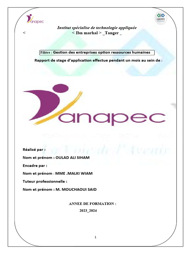 Rapport | PDF | Business | Gestion des ressources humaines