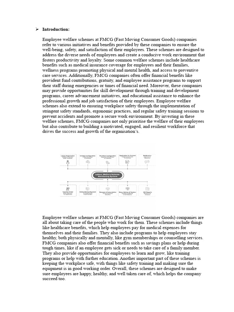 Research Project (RP) BMS | PDF | Employment | Welfare