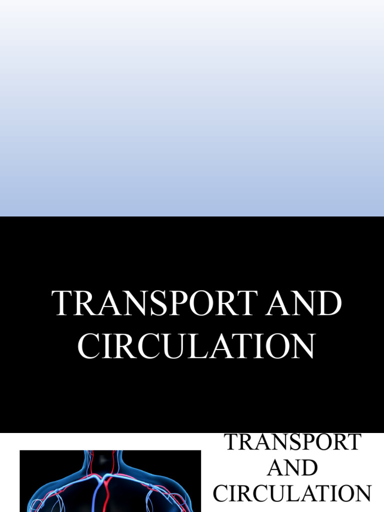 Transport and Circulation | PDF | History