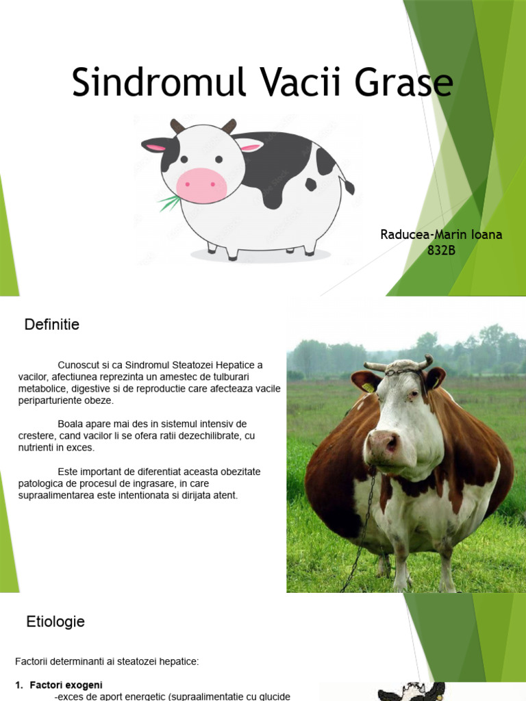 Sindromul Vacii Grase | PDF