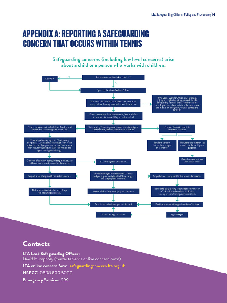 Reporting A Concern Flowcharts 2 | PDF | Consent | Risk