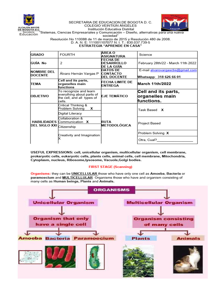 Science Workshop #2 Fourth Grade Cell 2022 | PDF | Cell (Biology ...