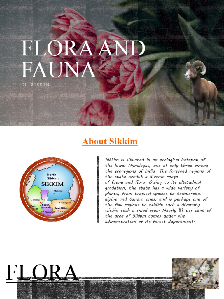 Sikkim's Diverse Flora and Fauna | PDF | Himalayas | Plants