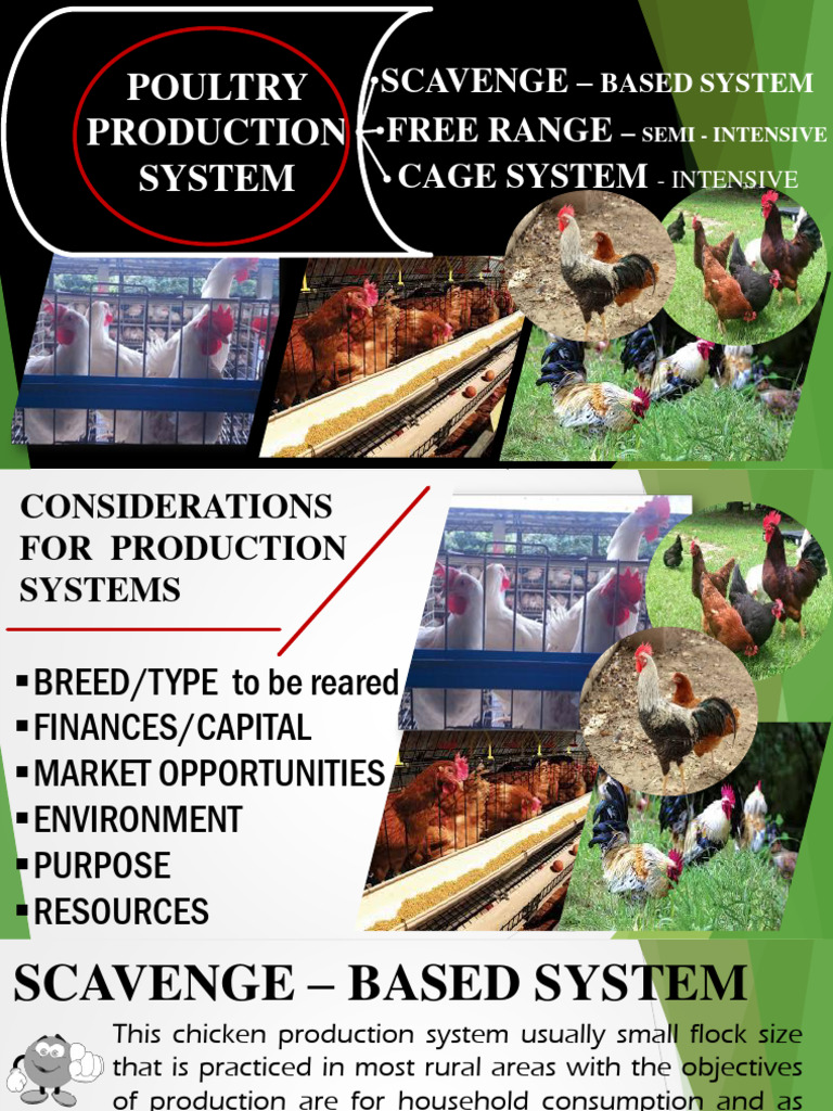 Production System Breeding and Selection | PDF | Gene | Genetics
