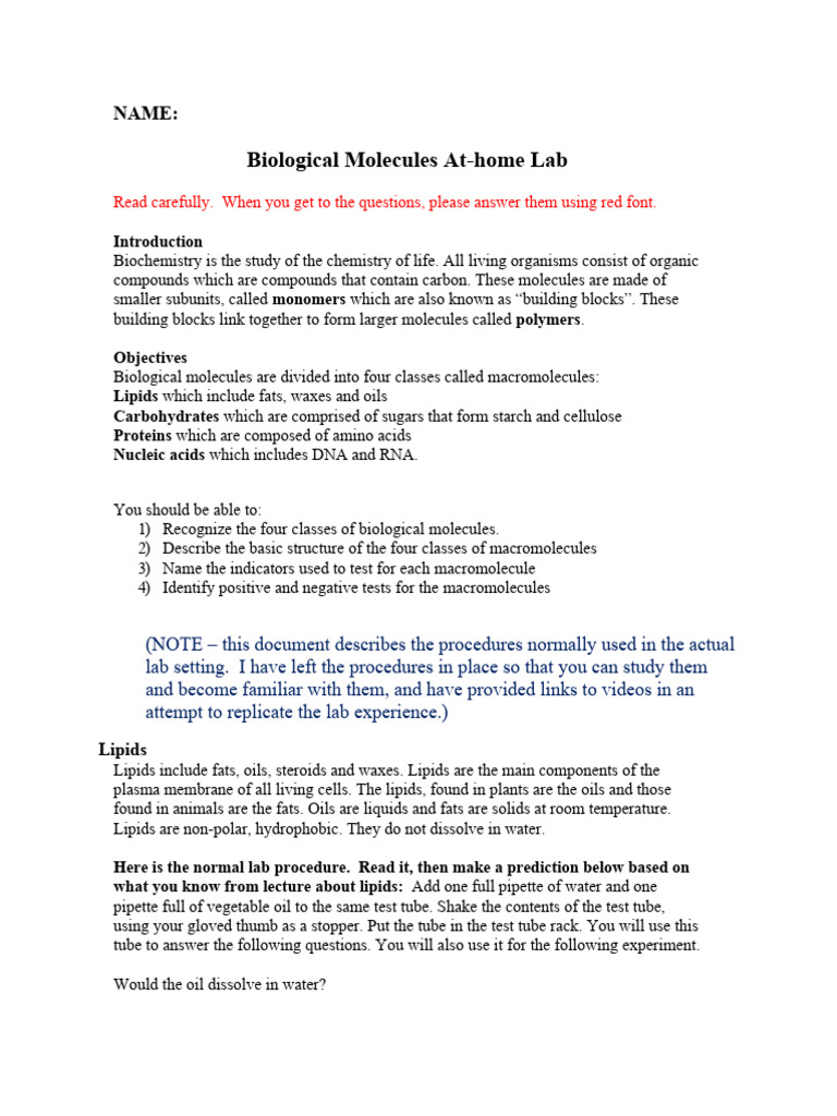 Biomolecules at Home Lab | PDF | Glucose | Macromolecules