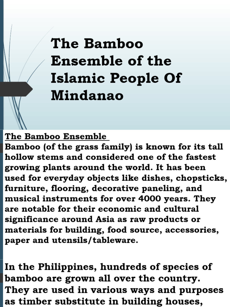The Bamboo Ensemble of The Islamic People of Mindanao | PDF | String ...