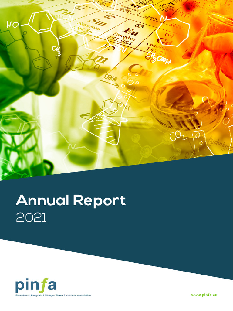 Annual Report 2021 PDF | PDF | Taxes | Sustainability