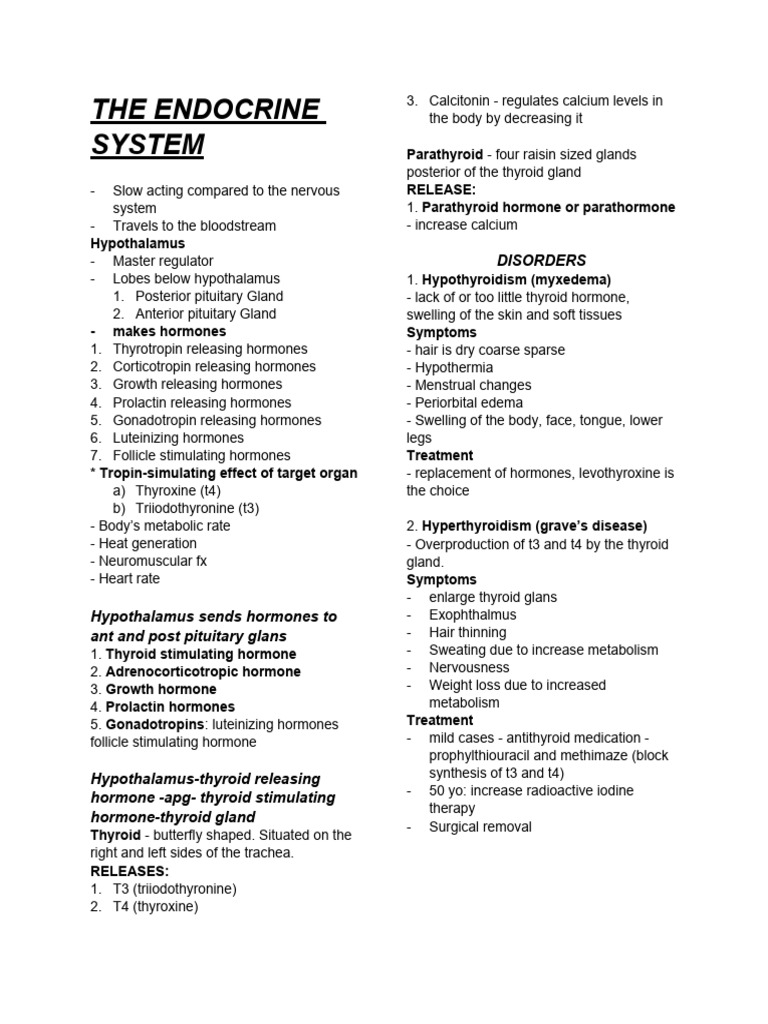 The Endocrine System | PDF | Adrenal Gland | Menstrual Cycle