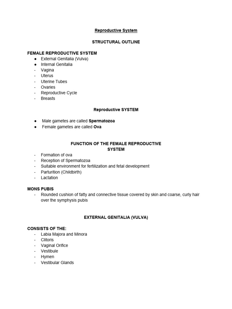 Overview of Human Reproductive Systems | PDF | Uterus | Testicle