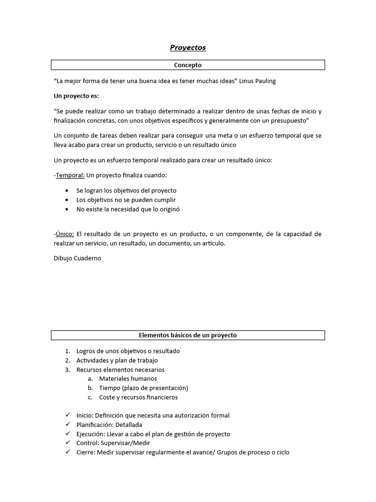 Tema 1proyectos | PDF | Planificación | Business