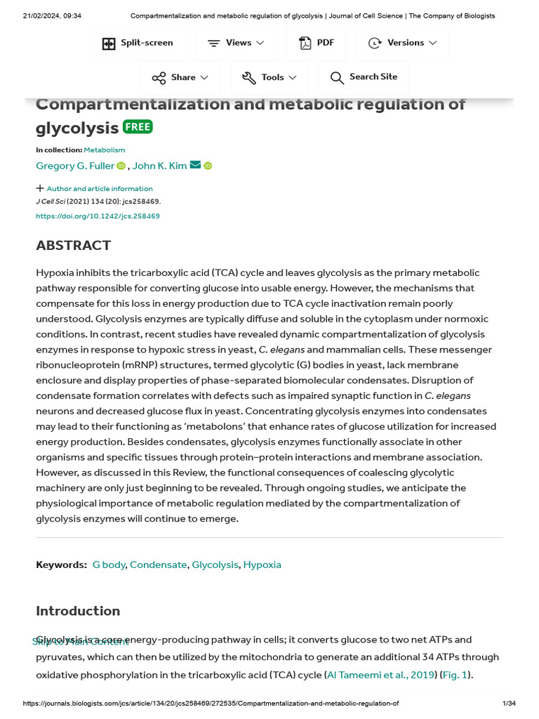 Compartmentalization and Metabolic Regulation of Glycolysis - Journal ...
