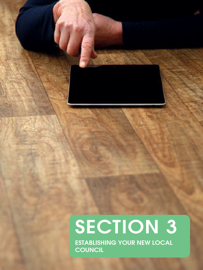Establishing Your New Local Council Guide | PDF | Employment | Risk