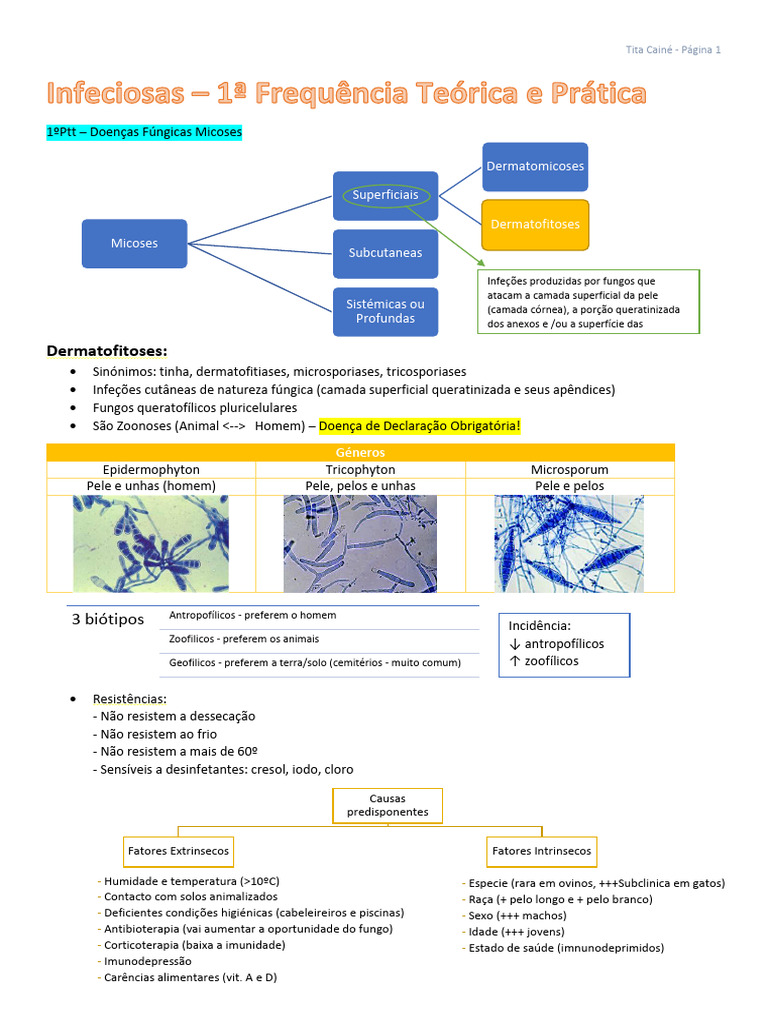 Resumos Infeciosas | PDF | Mycobacterium tuberculosis | Tuberculose