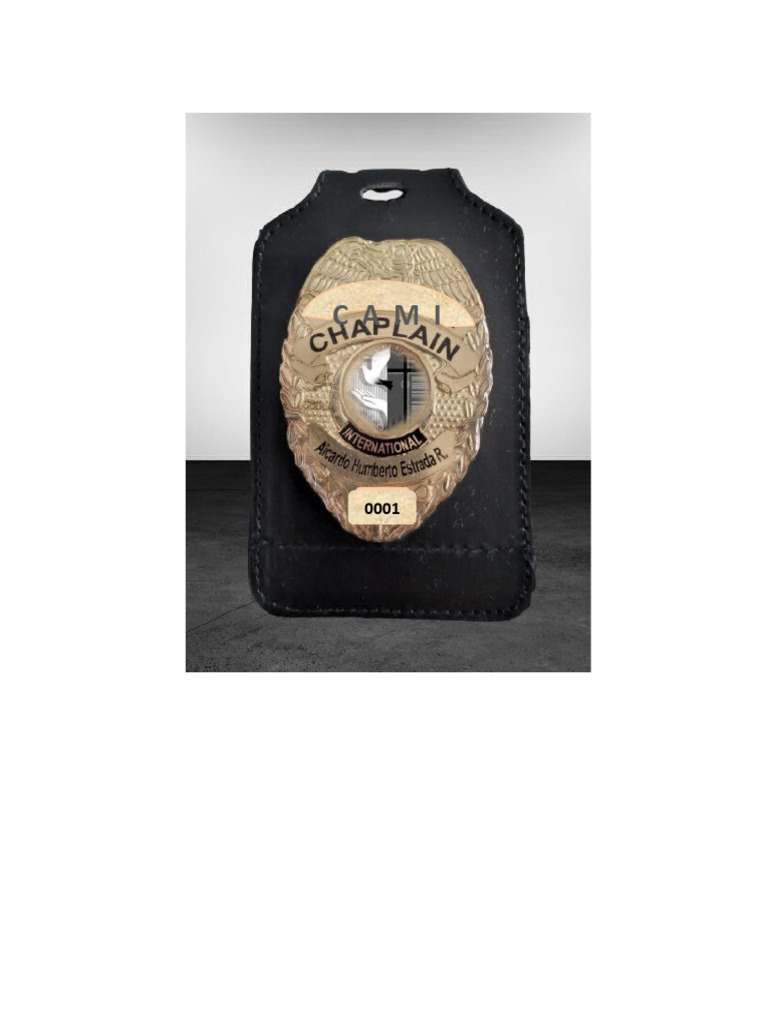 Placa Capellán 2024 | PDF