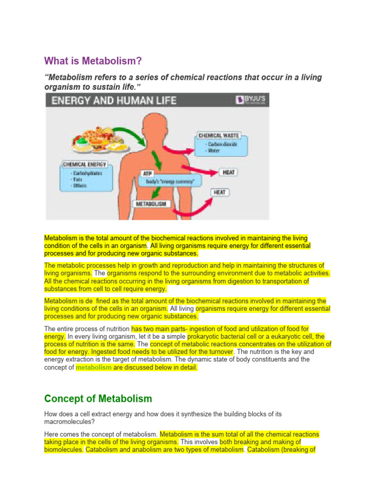 What Is Metabolism | PDF | Carbohydrates | Metabolism