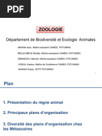 COURS L1 Metazoaire | PDF | Anatomie | Biologie