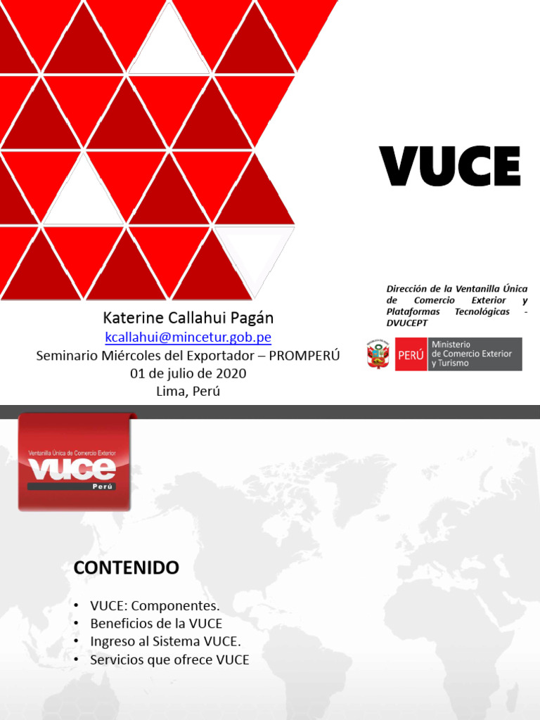 Vuce para Exportar e Importar | PDF | Economias