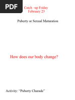 Understanding Puberty Changes | PDF | Puberty | Adolescence
