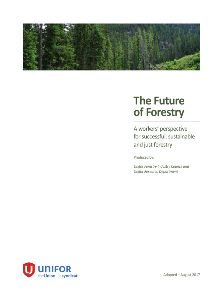 Sustainable Forestry: Workers' Insights | PDF | Forestry | Payroll Tax