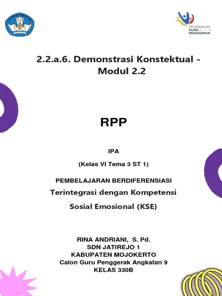 RPP Berdiferensiasi Terintegrasi KSE - Rina Andriani | PDF | Komputer