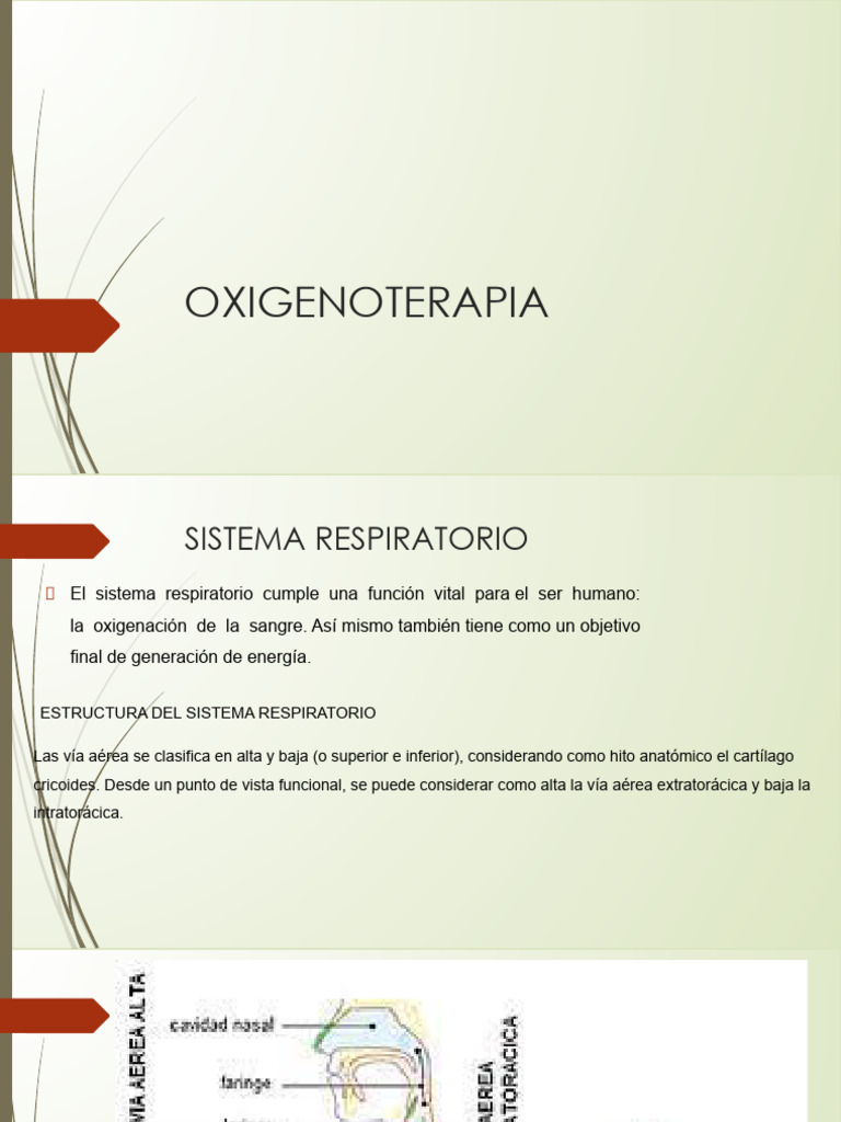 OXIGENOTERAPIA Procedimientos de Adulto Clinico | PDF | Pulmón ...