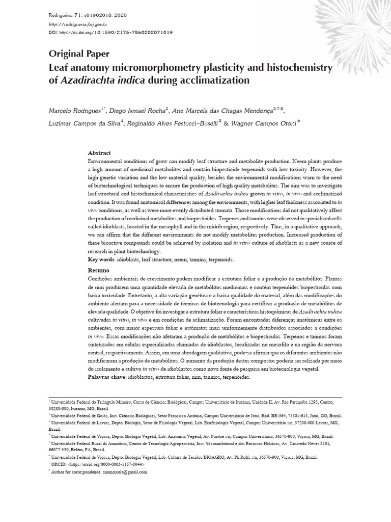 Leaf Anatomy Micromorphometry Plasticity and Histochemistry | PDF ...