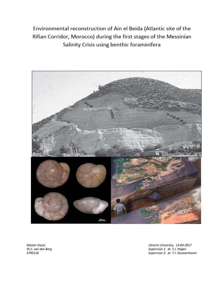 Environment of The First Stages of The MSC in The Atlantic Side of The ...