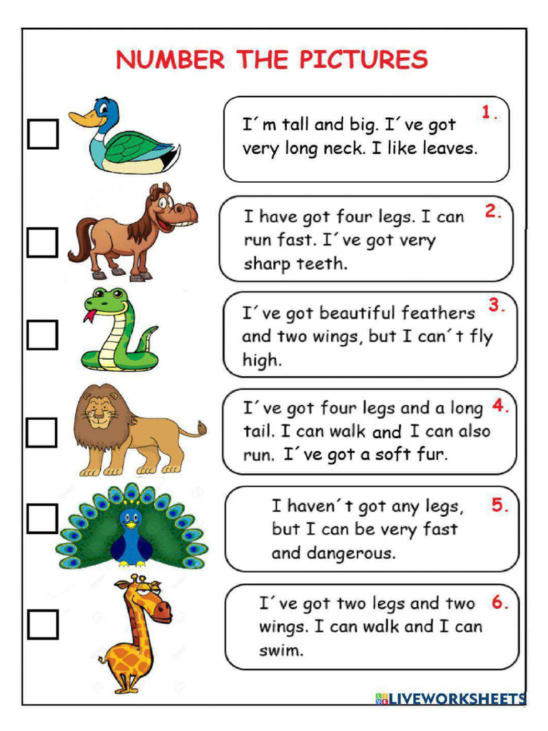 Describing Animals Worksheet | PDF