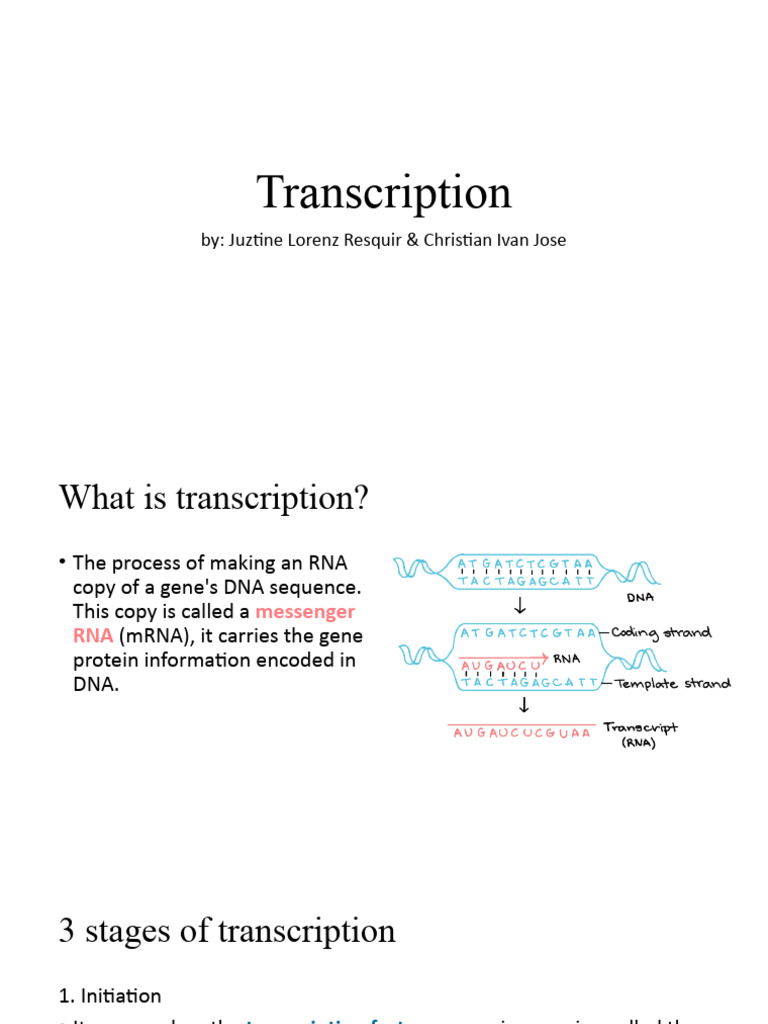 Report Transcription | PDF