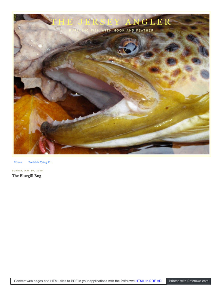 Triangle Bug Pattern and Tying | PDF