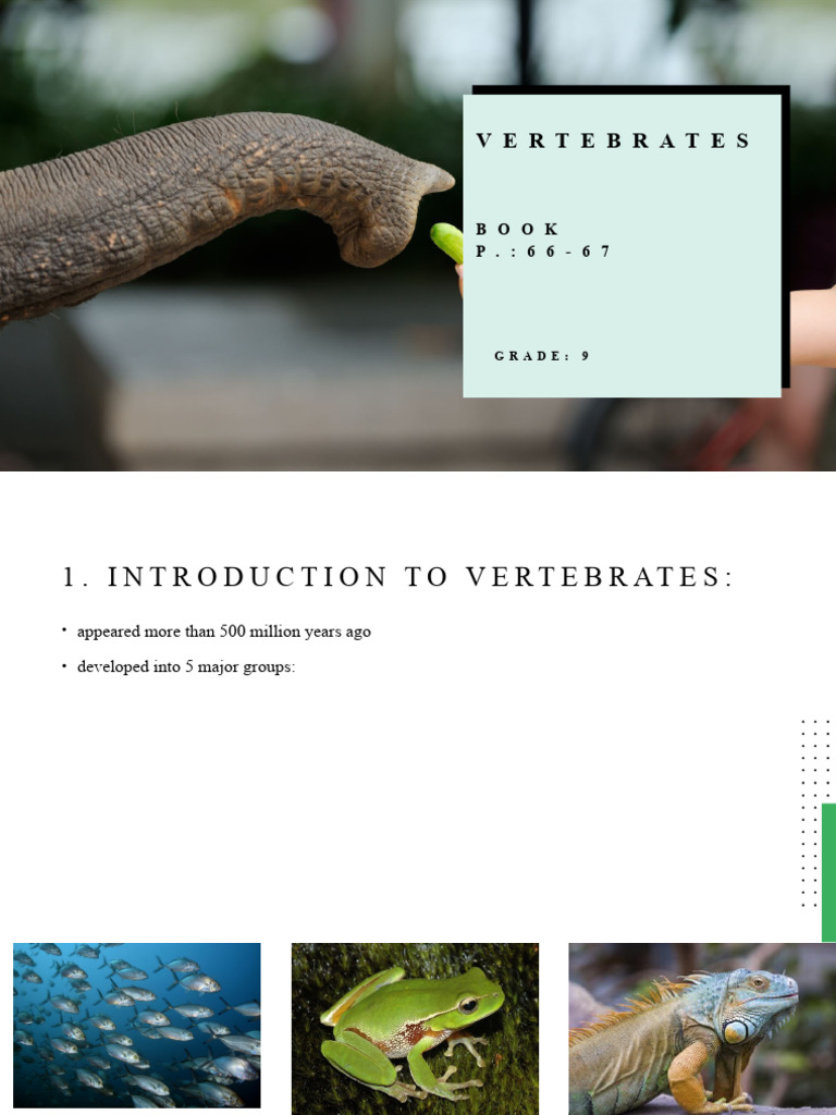 Introduction To Vertebrates | PDF | Social Science | Wellness