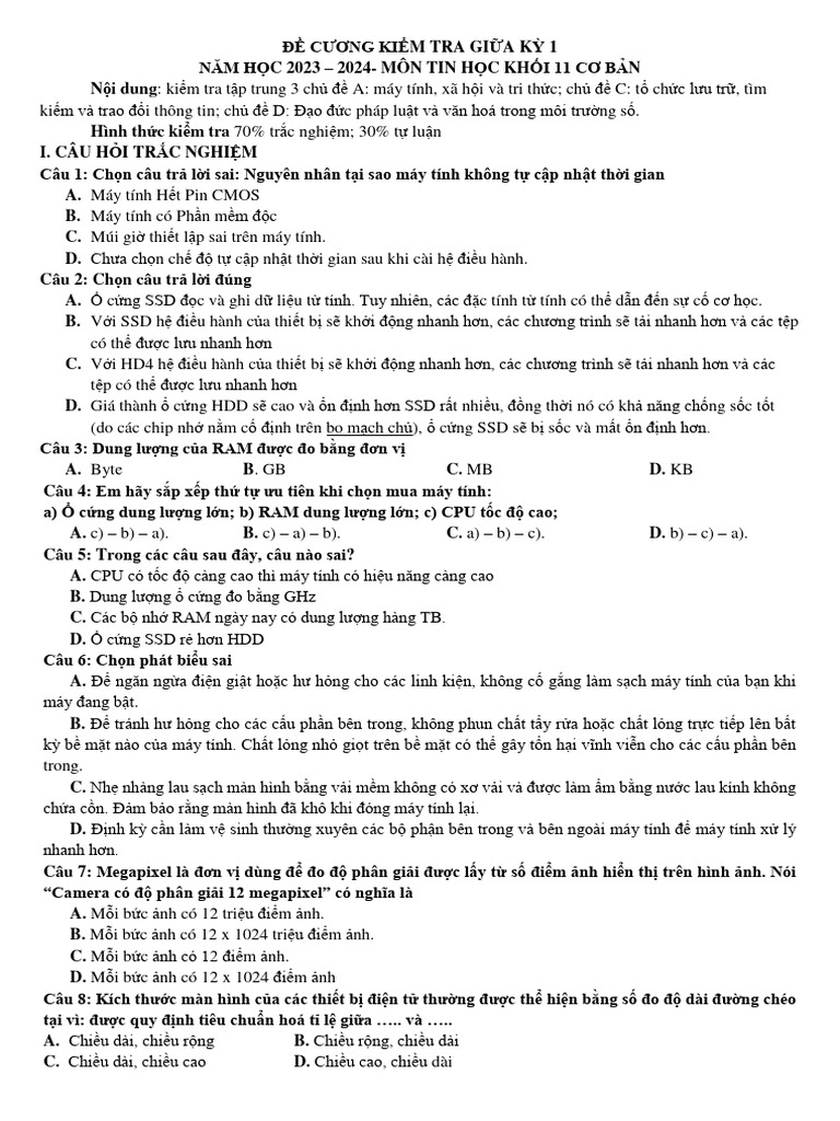 Decuong Giua Ki 1 Lop11 Hs | PDF