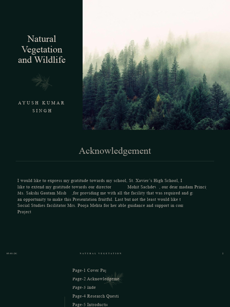 Natural Vegetation and Wildlife | PDF | Protected Area | Forests