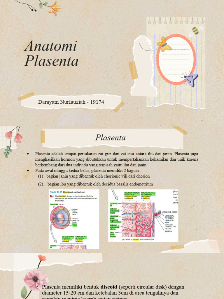 Case 4 Anat Histo | PDF