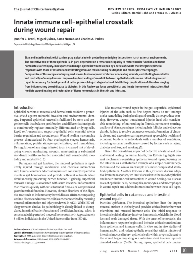 Innate Immune Cell-Epithelial Crosstalk During Wound Repair | PDF ...