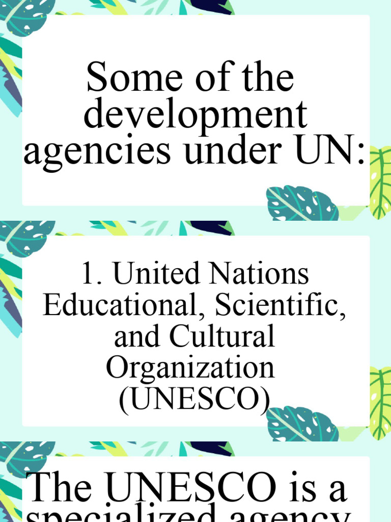 3 Q2M1 Un 1 | PDF | United Nations Development Programme | United Nations