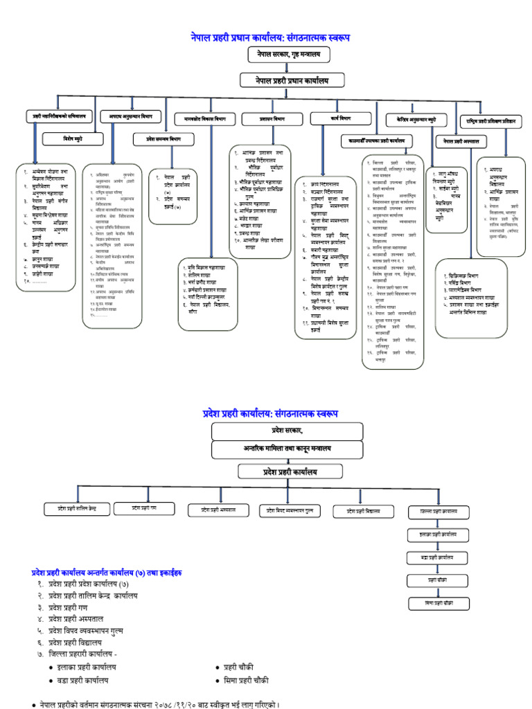 Np And Pp Structure Short 2 Pg Less Offices Pdf