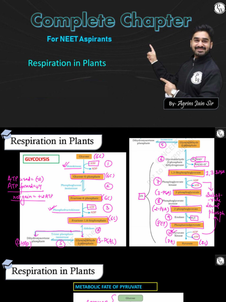 RESPIRATION IN PLANTS - Class Notes - NEET Mind-Map | PDF