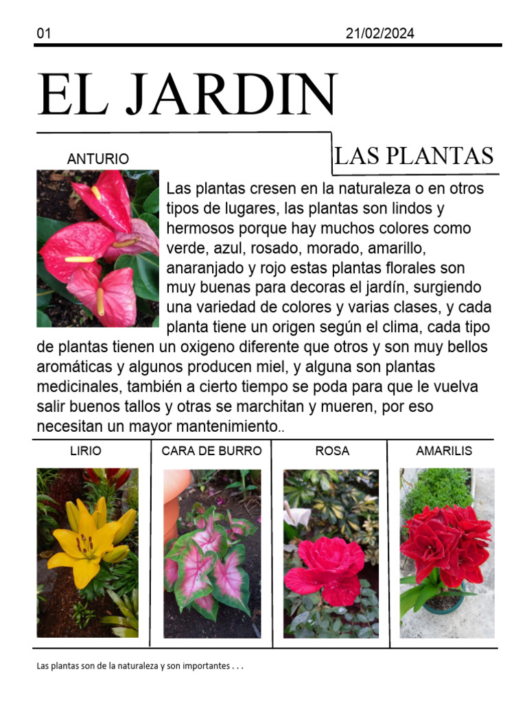 EL JARDIN de Los Robles | PDF