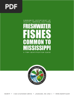 Fish Names in Marathi | PDF | Fishing Industry | Aquatic Animals