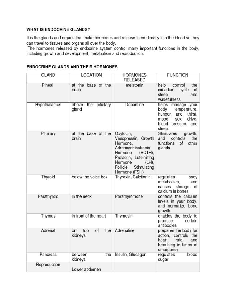 Endocrine System | PDF | Endocrine System | Hormone