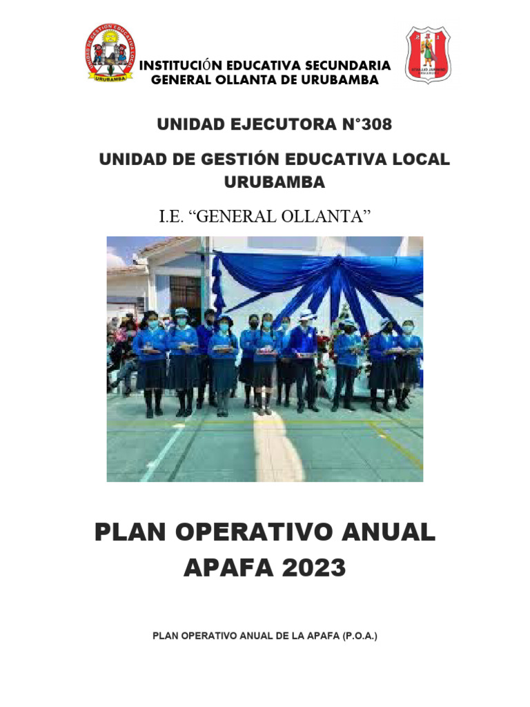 Plan Operativo Anual - Apafa - 2024 | PDF | Inclusión (Educación)