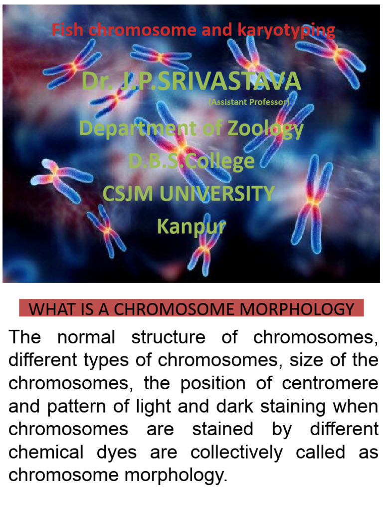 Fish Chromosome Classification and Karyotyping | PDF | Chromosome ...