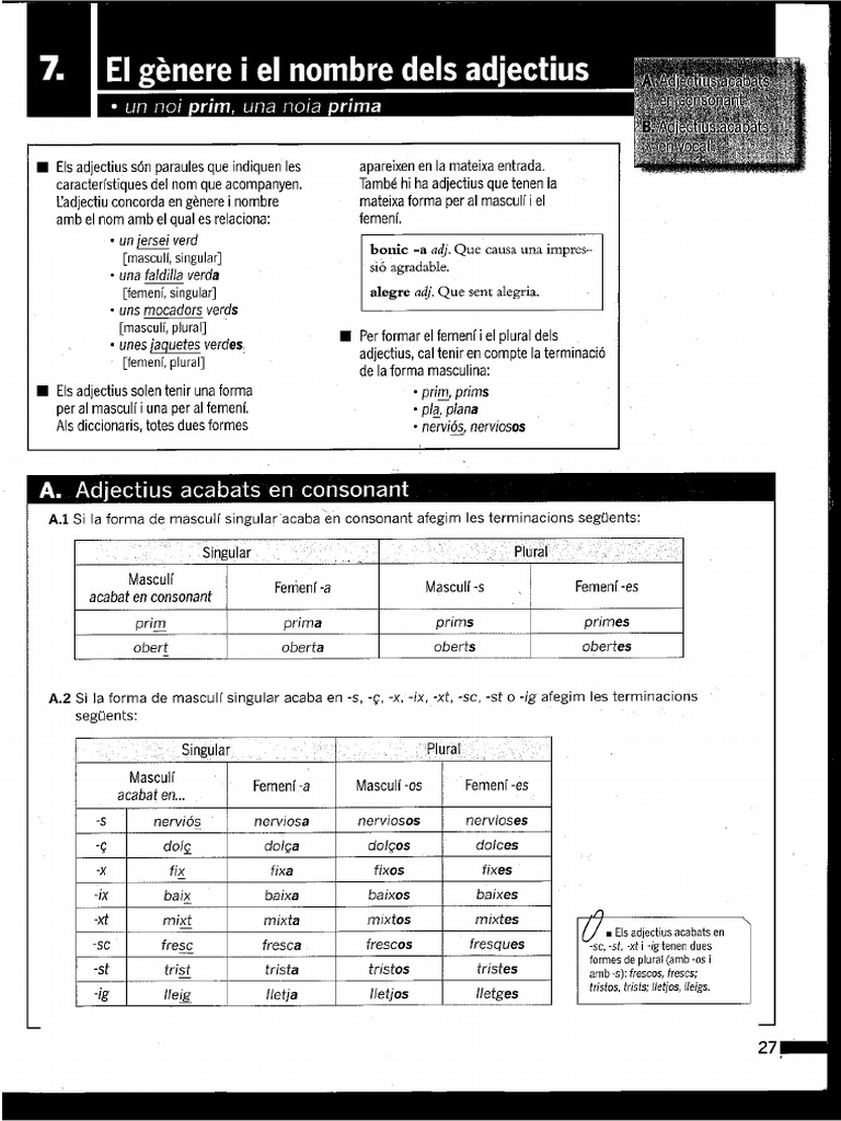 GRAM DU3 Adjectius I Present Sub.1 | PDF