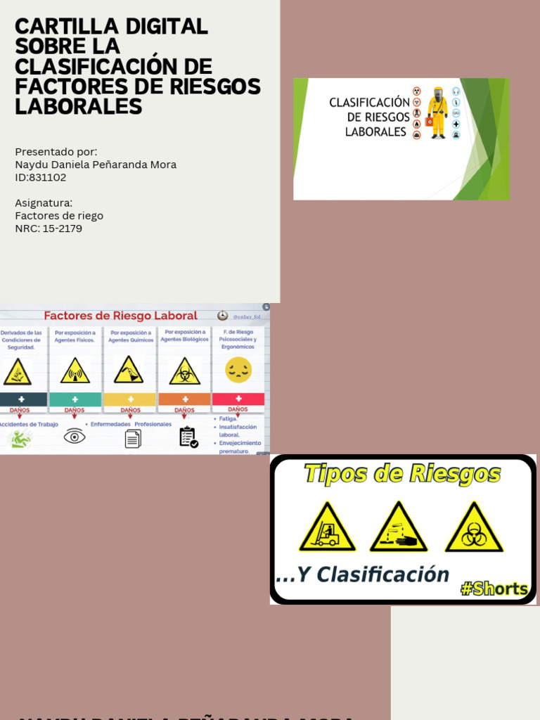 Cartilla Digital Sobre Las Clasificación De Riesgos Labrorales