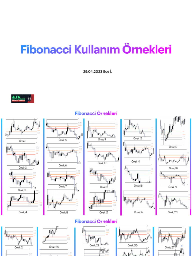 Ece FIB Ornekleri | PDF