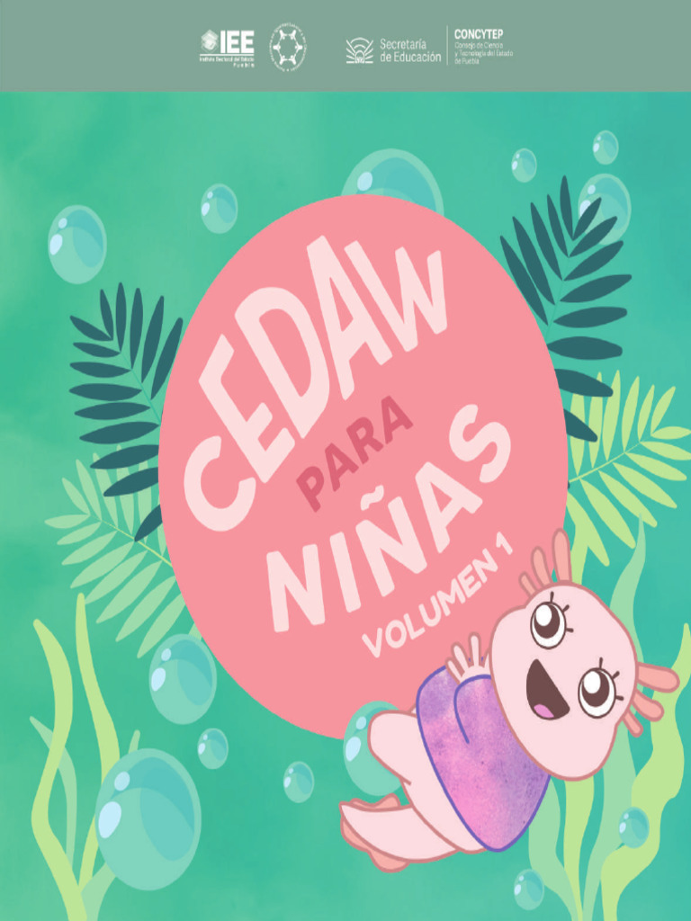 Cuadernillo CEDAW VOL - 1 | PDF
